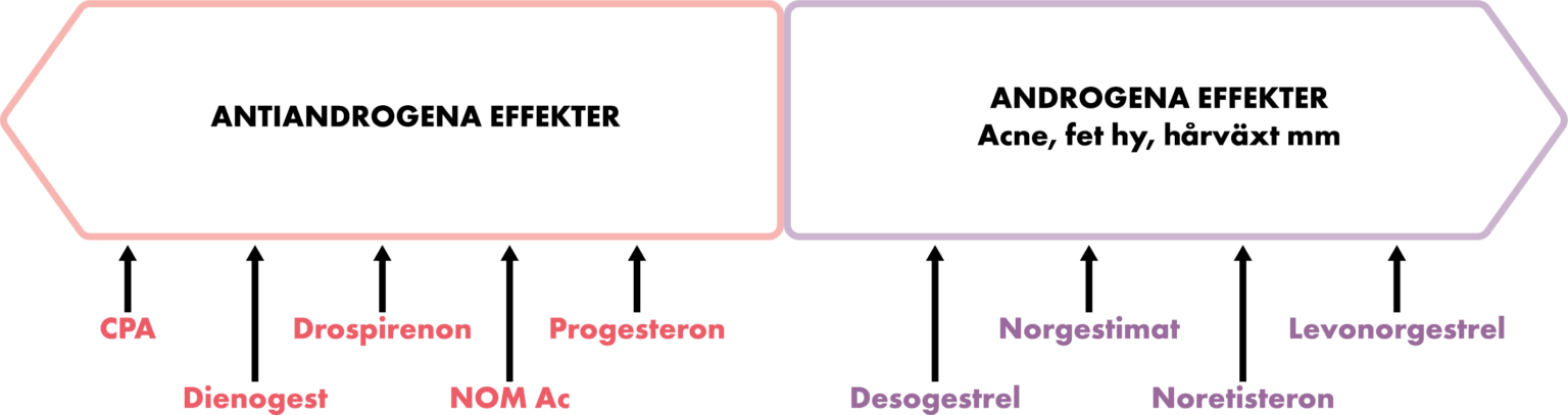 Preventivmedel med hormoner I Hormonguiden